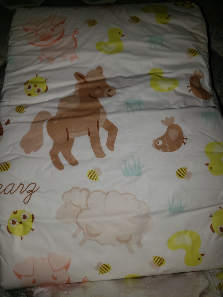 Rearz Diaper Review | The National Association For Continence Community