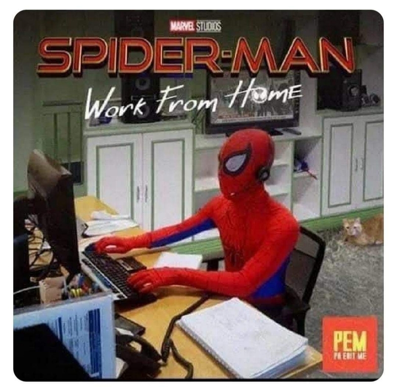 Spiderman Memes Desk